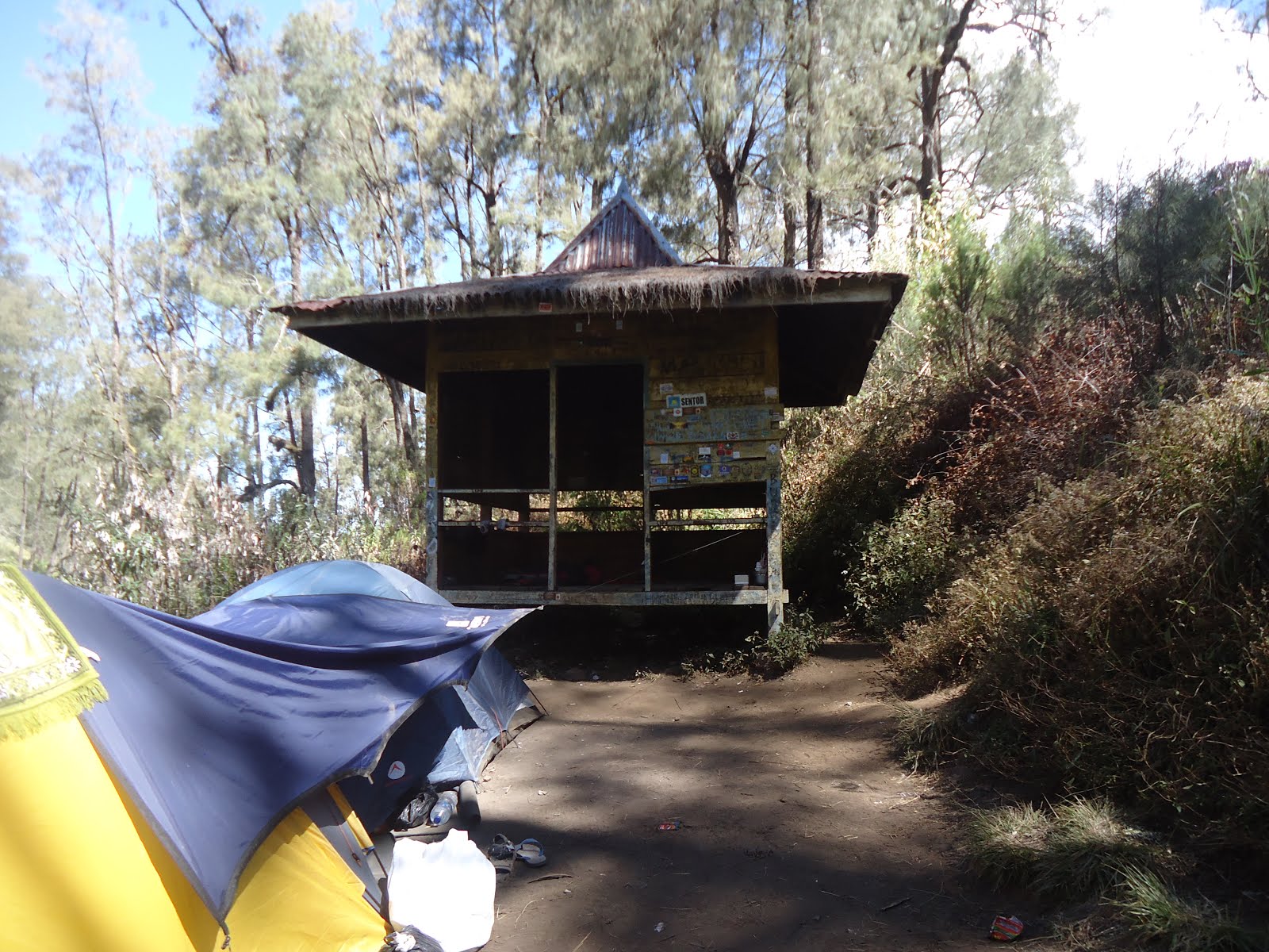 Gunung Argopuro "Perjalanan Terpanjang Pulau Jawa" - Bicara Tentang Travel