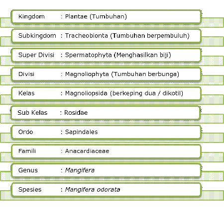 KUWENI (Mangifera odorata) - Biologi sel dan Molekuler