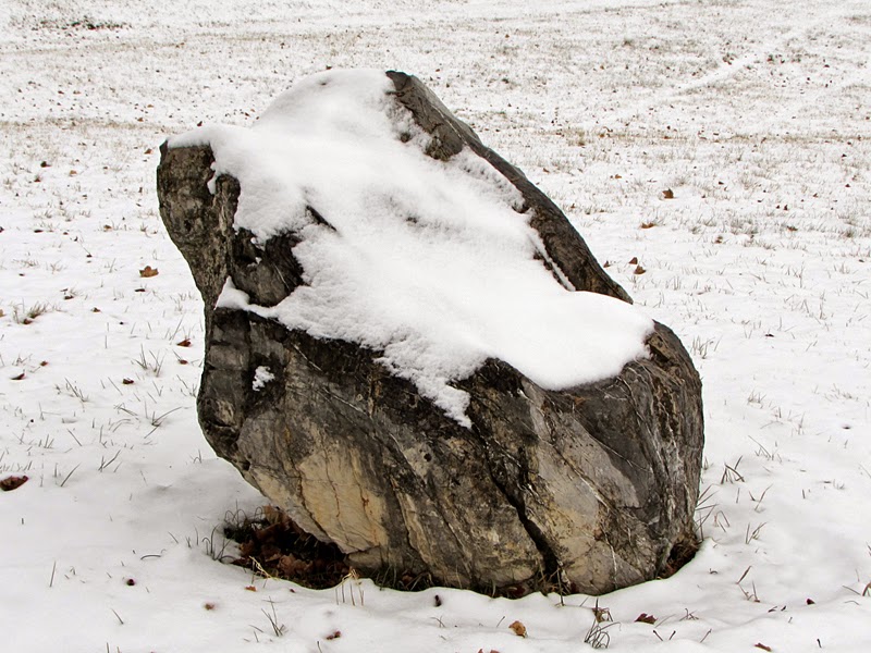 Roy's World: Snow-Covered Rocks
