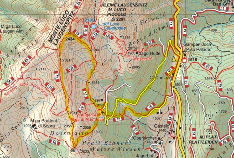 Trekking sull'Appennino Romagnolo...e Dintorni: giugno 2012