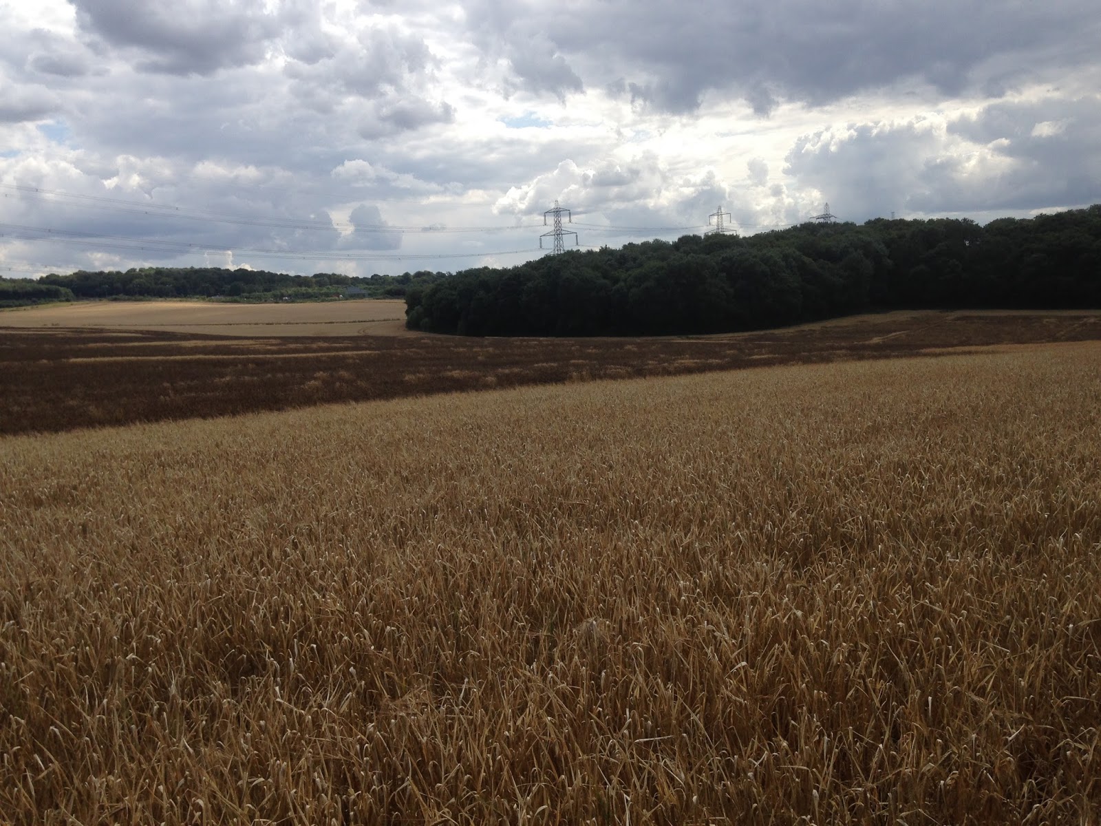 Hope & Chances Creativity: Welcome Home and Fields!