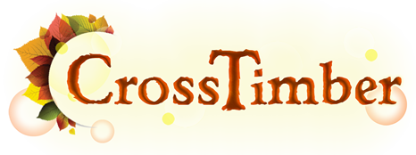 CrossTimber | Name Meaning Gifts for Christmas • The Naptime Reviewer