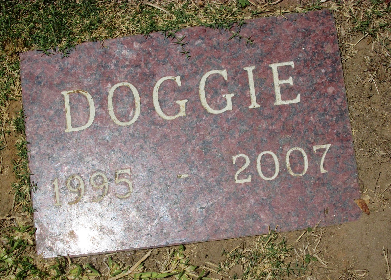 wacky tacky: Waking the Dead: Sea Breeze Pet Cemetery