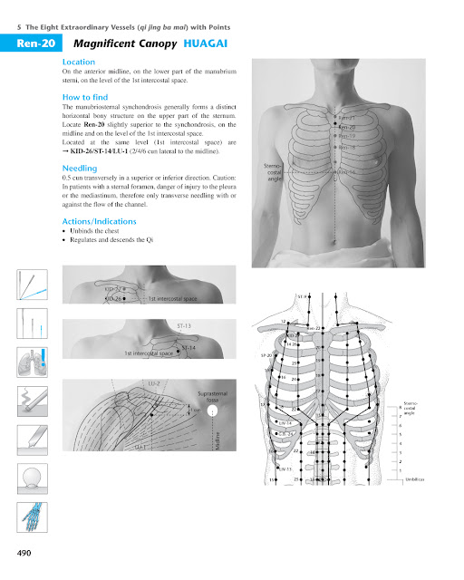 Acupuncture Masters: Acupuncture Points Database - Ren Channel