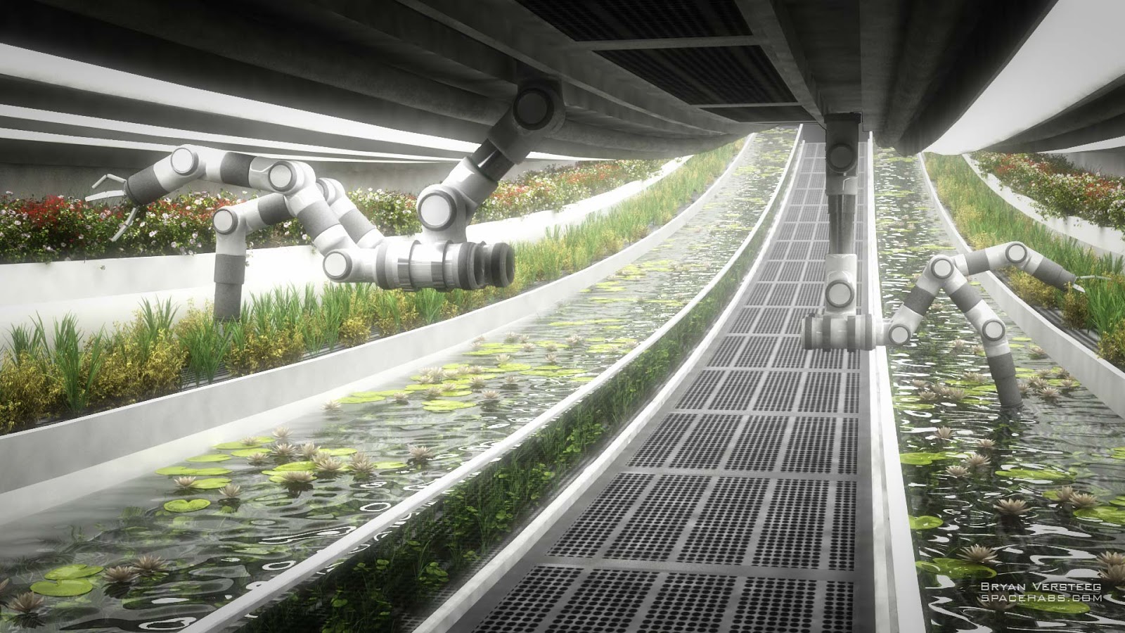 The Monkey Buddha: Future of Food: Space Farming