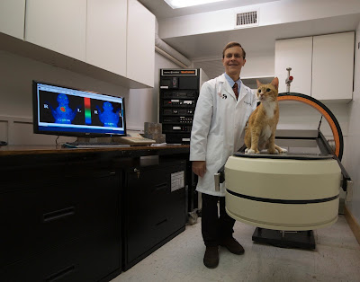 Animal Endocrine Clinic: Thyroid Scintigraphy for Diagnosis and Staging ...