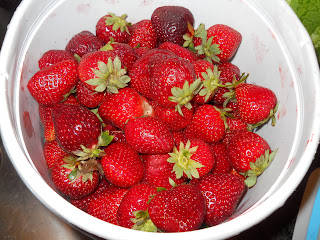 A Slice of Smith Life: A Berry Good Day with Friends!