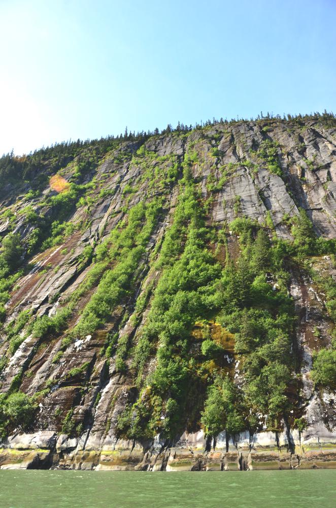 Safe Harbour: Day 22-Tracy Arm Cove to Tracy Arm Cove