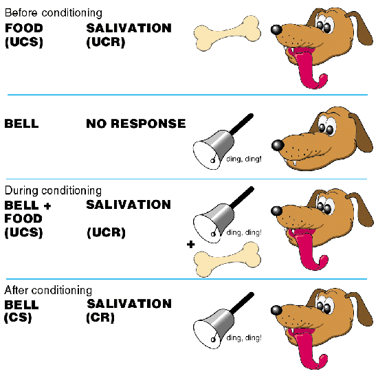 PSYCHOLOCIOUS: EKSPERIMEN PAVLOV (Classical Conditioning)