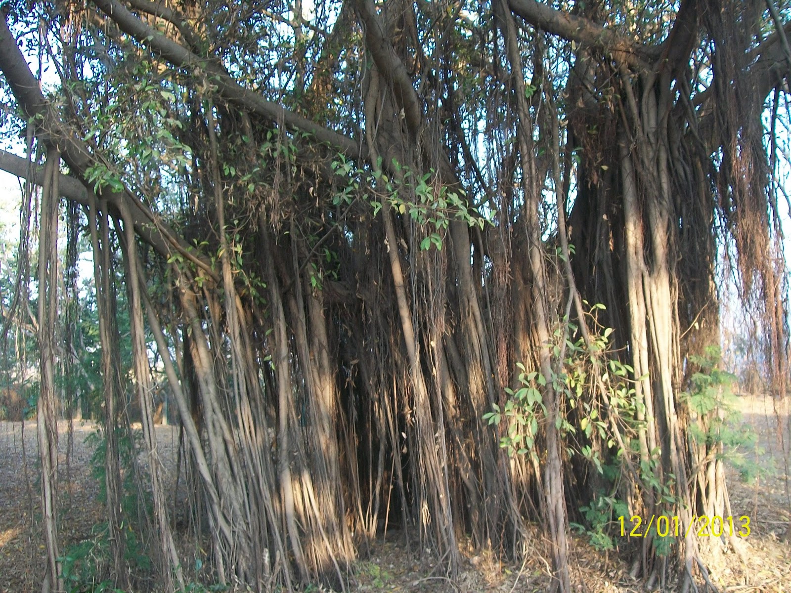 Insights into the life around; and beyond: Visit of Maharashtra Nature Park
