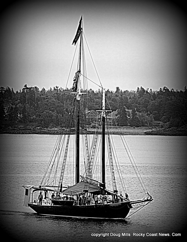 The MaineSail Magazine