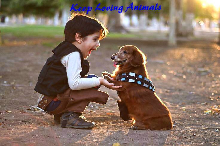 Save The Animals : Keep Loving Animals