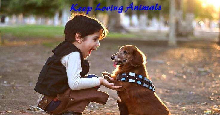 Save The Animals : Keep Loving Animals
