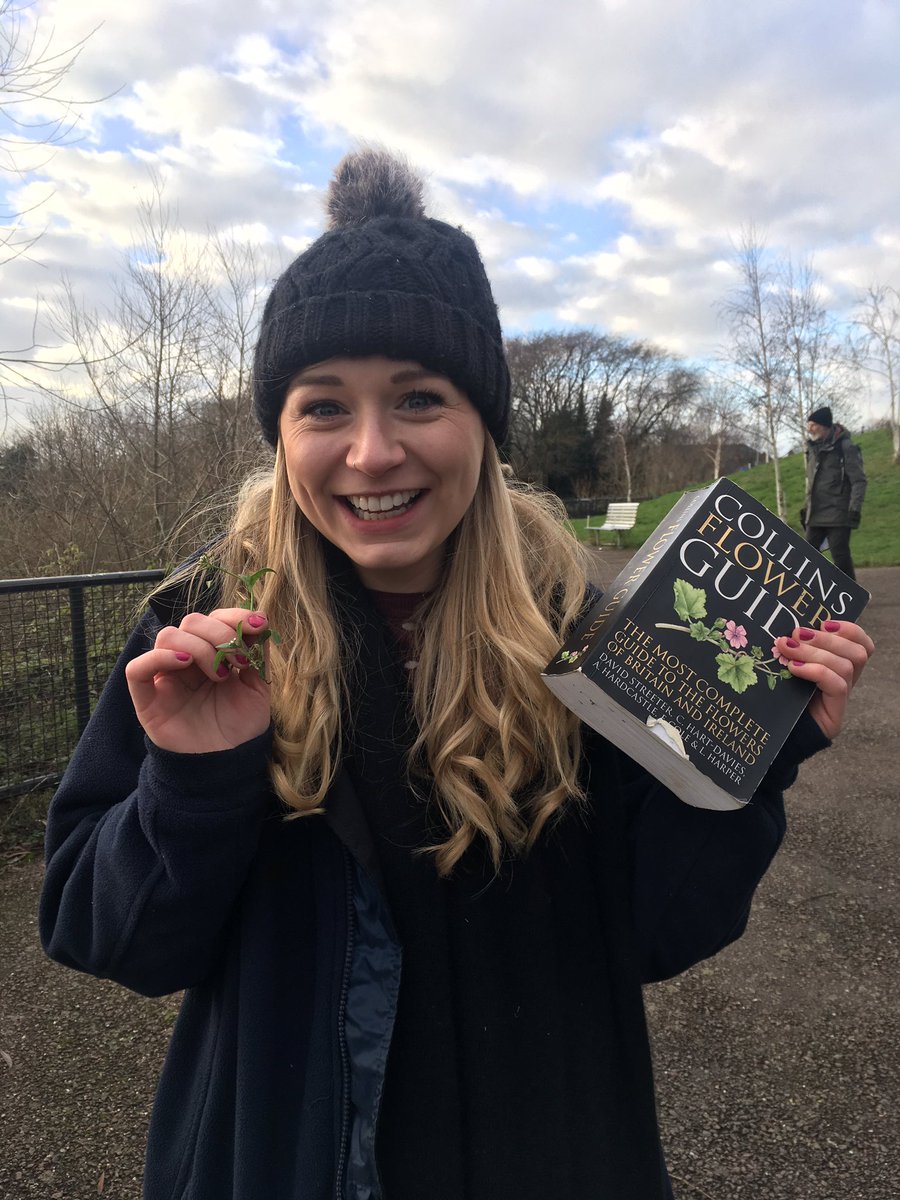 BSBI News & Views: New Year Plant Hunt support team 2018: ready to help ...