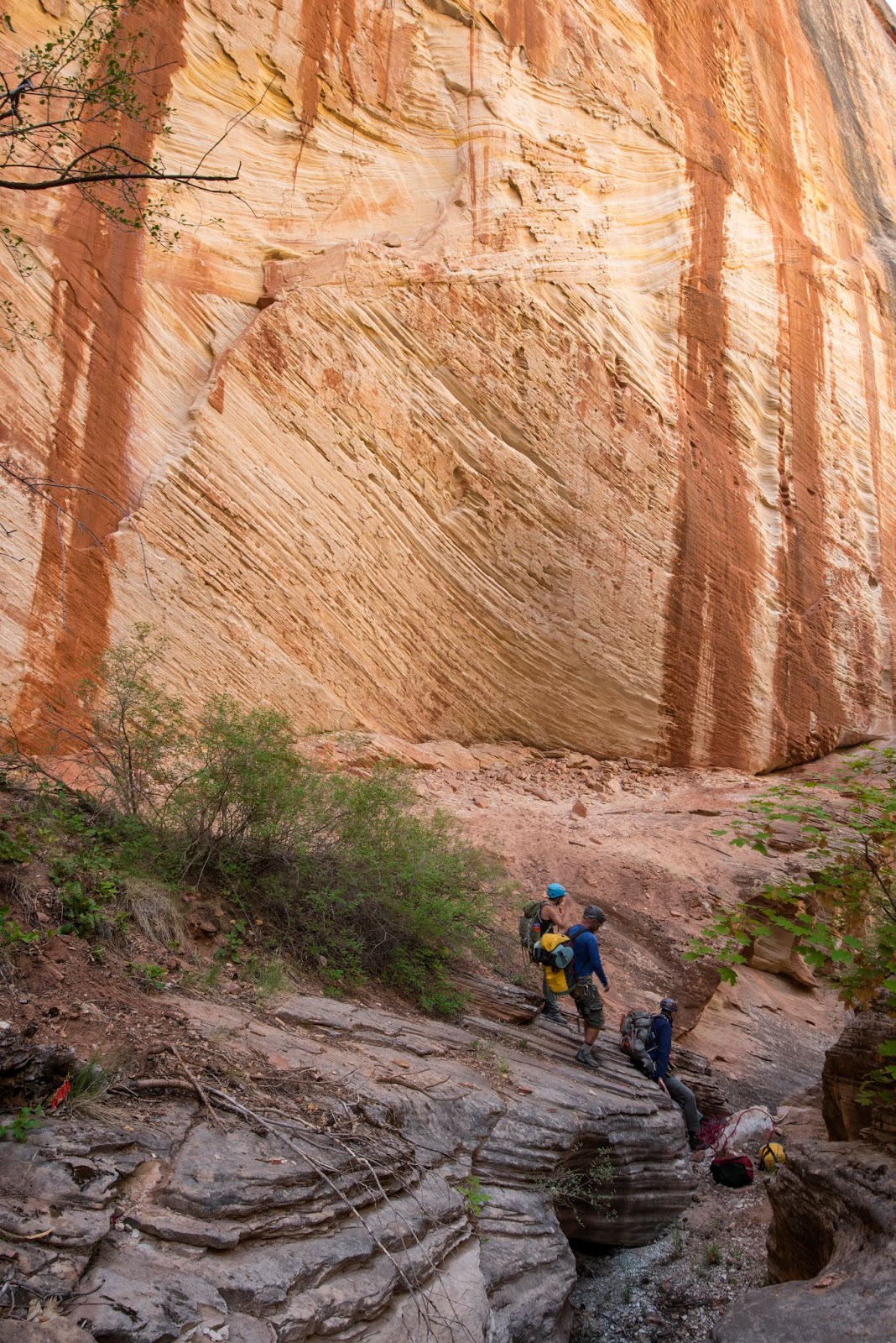 CHECKERBOARD CANYON 3BIV. ZION NATIONAL PARK - ADAM HAYDOCK