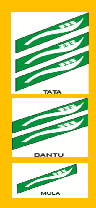 Tanda Kecakapan Pramuka Siaga (Umum, Khusus & Siaga Garuda)