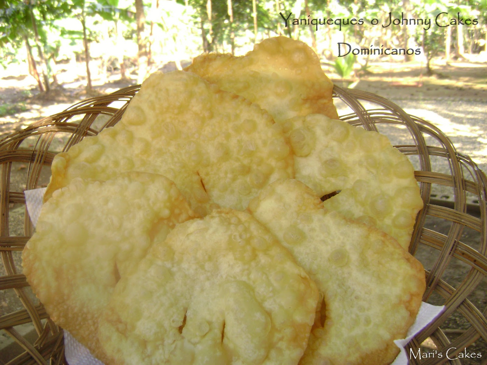 ¡Vamos por un chimi! : My Spanish Notes