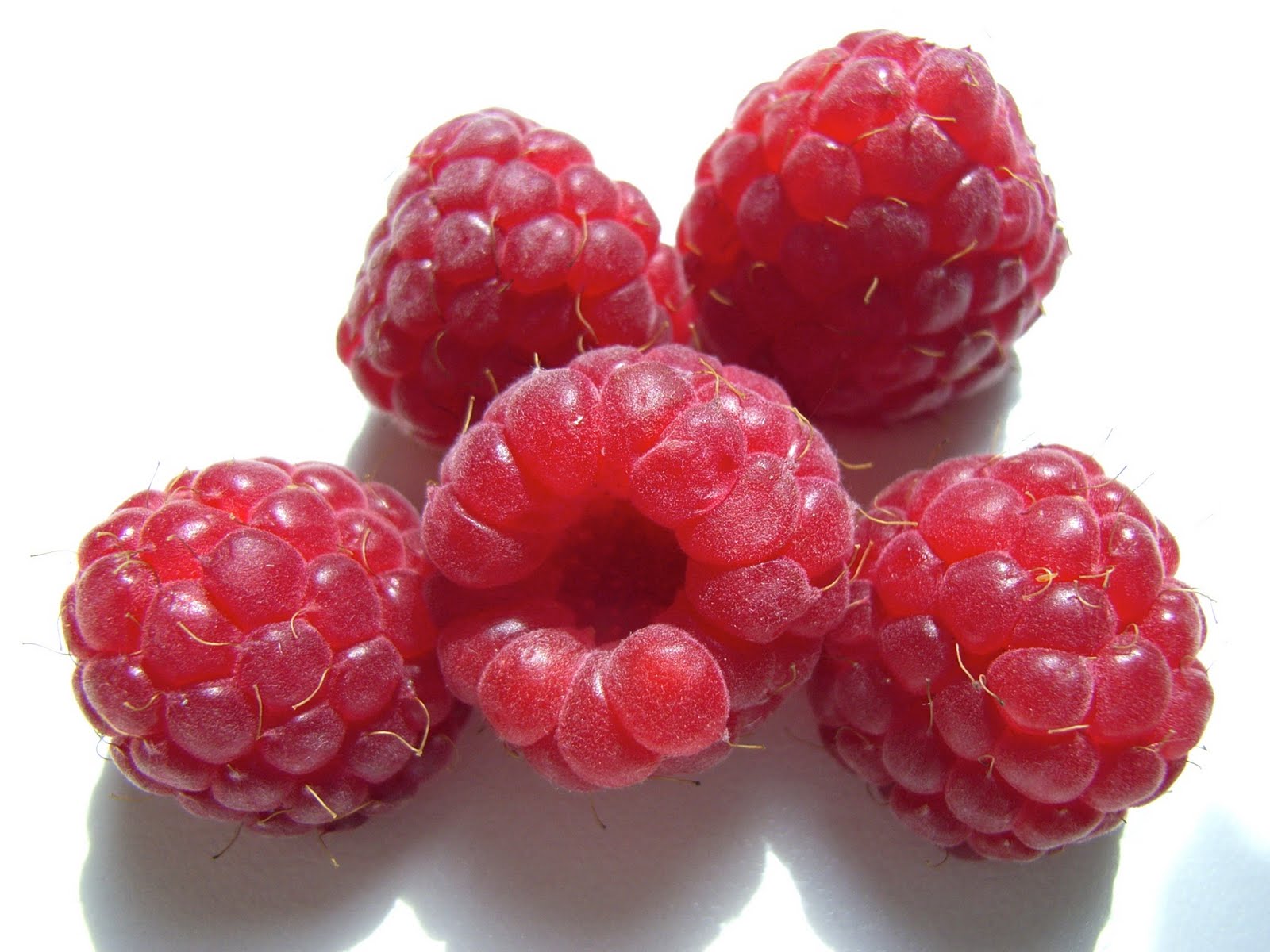 Bilder-Bibliothek: Himbeeren - Nahaufnahmen, Großaufnahmen