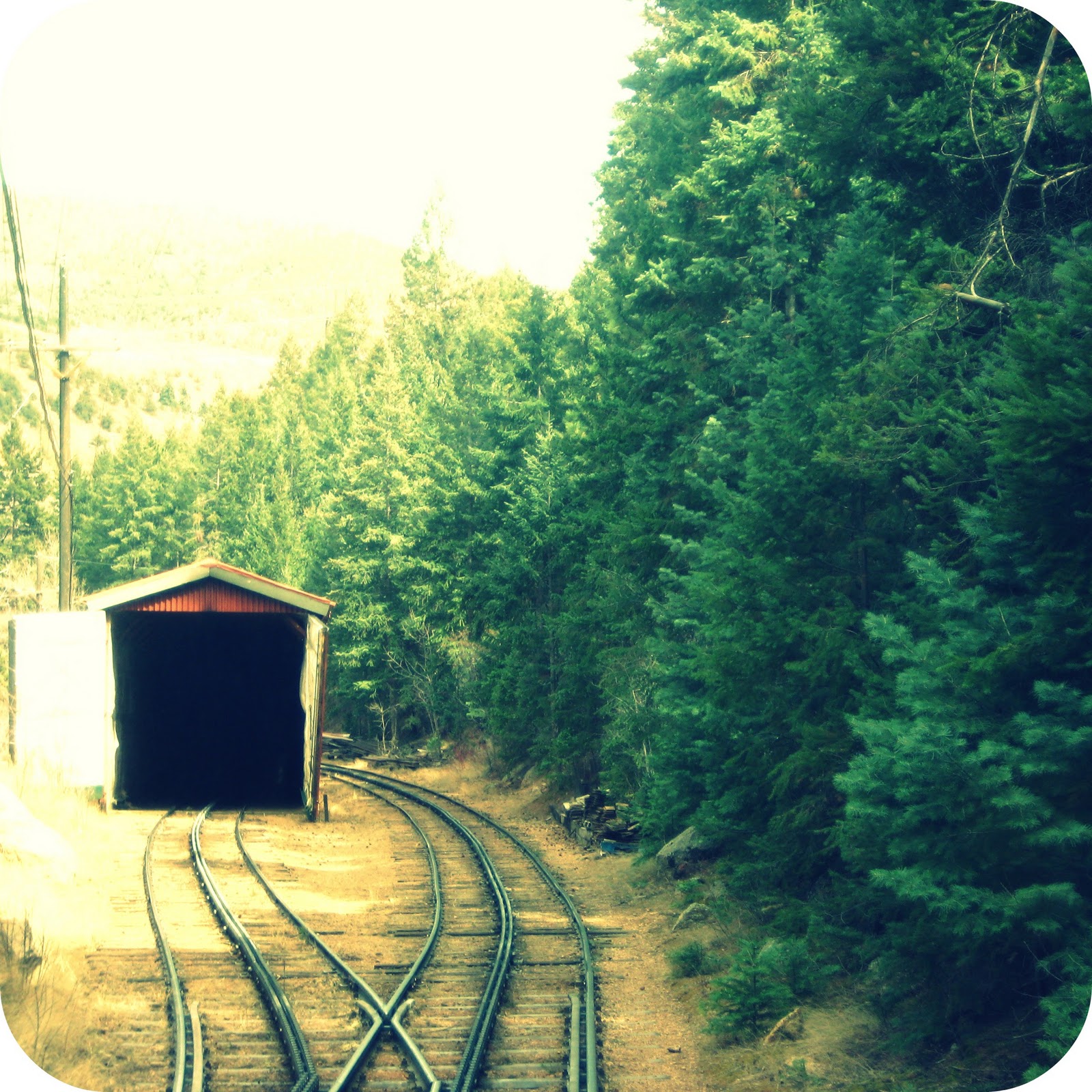 Another Blog from Danielle: Colorado or Bust