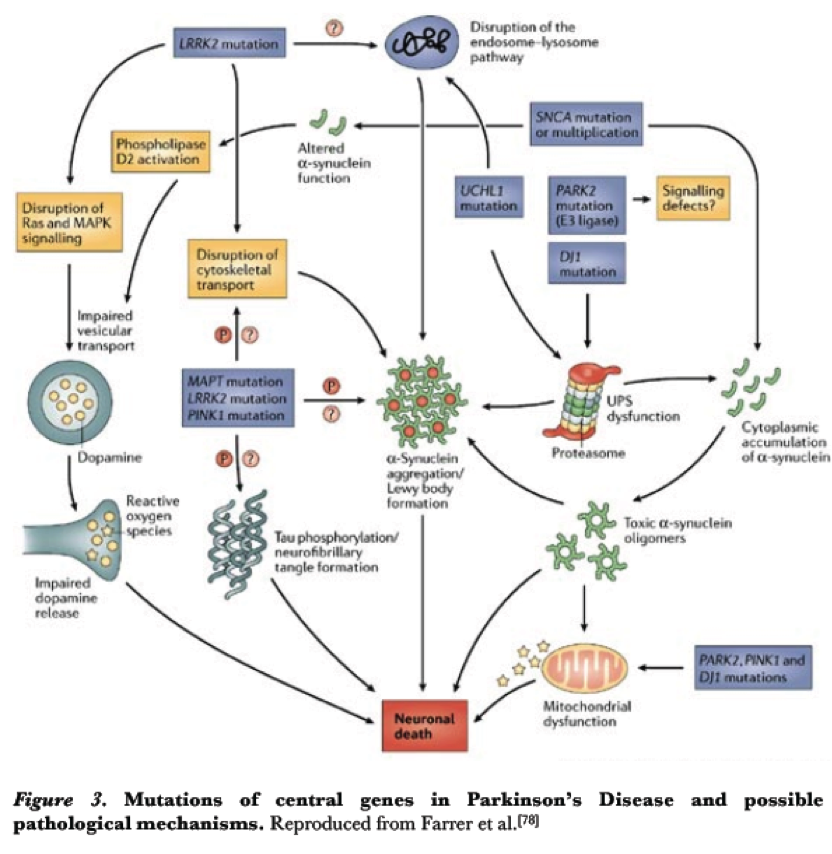 Genetics & Epigenetics of Alzheimer's and Parkinson's Disease | Mind ... Genetics & Epigenetics of Alzheimer's and Parkinson's Disease | Mind ...