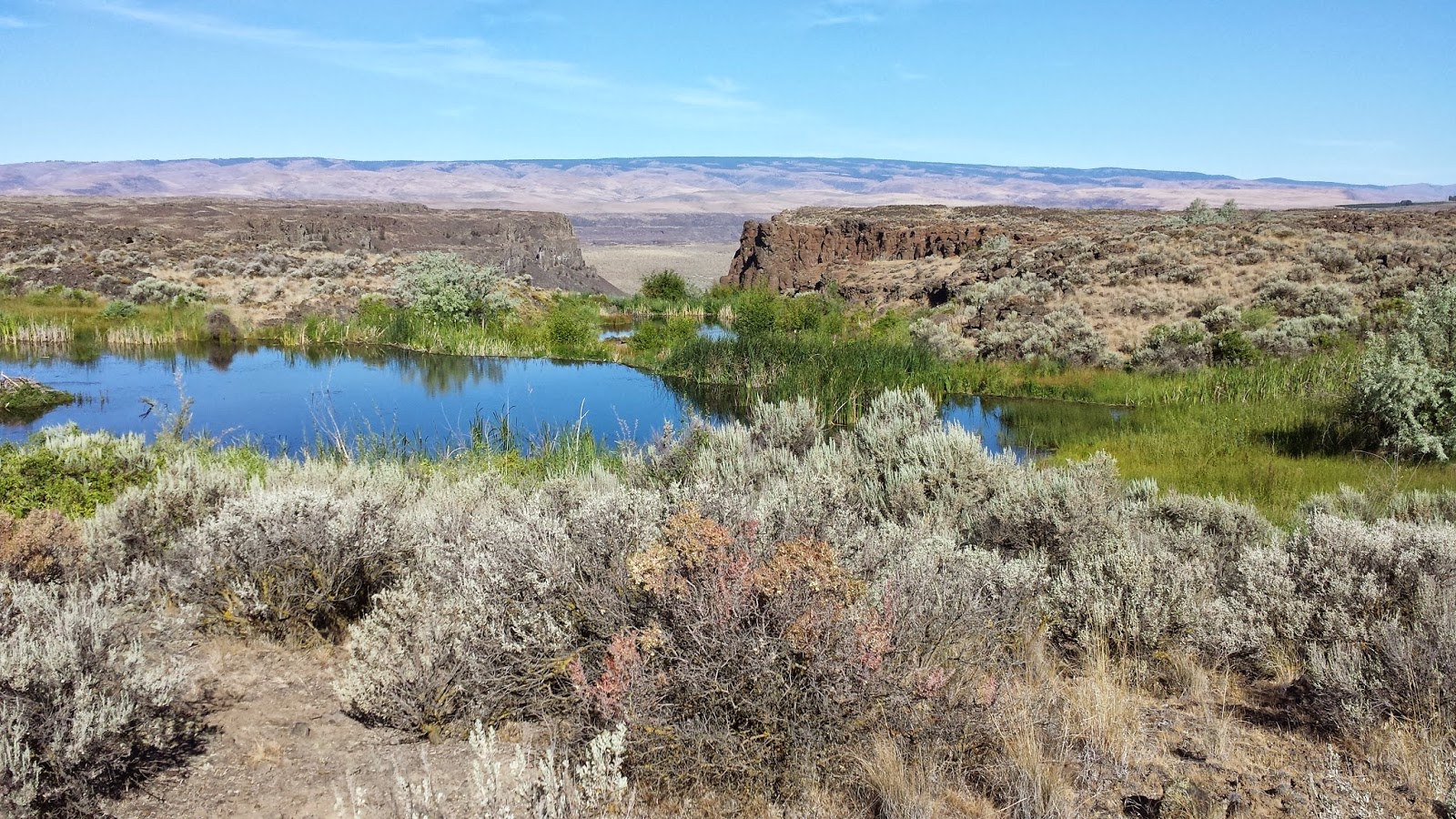 Tech-nically Homeless: The Quincy Lakes Wildlife Area George, Washington