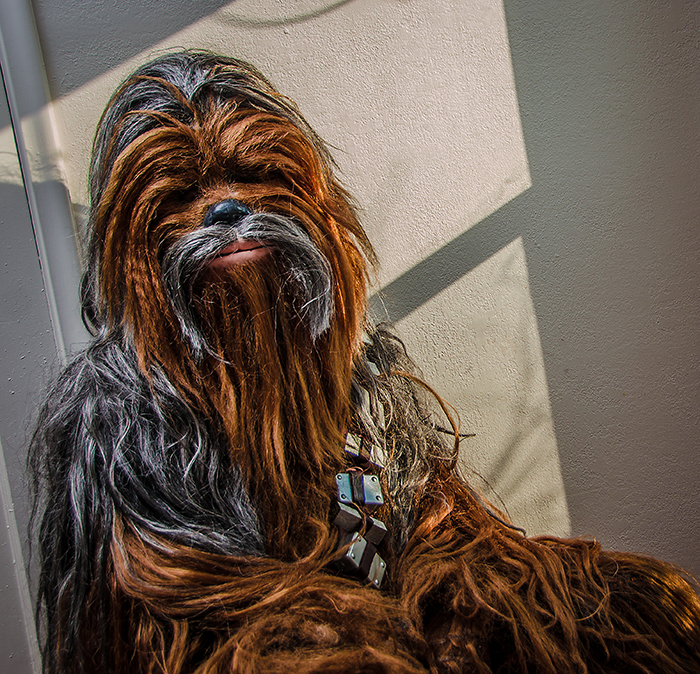 Genetic Engineers Have Successfully Bred a Wookiee! - Faking Star Wars