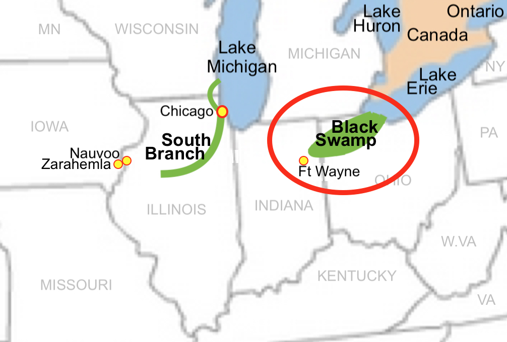 NephiCode: The Black Swamp and the Narrow Passage