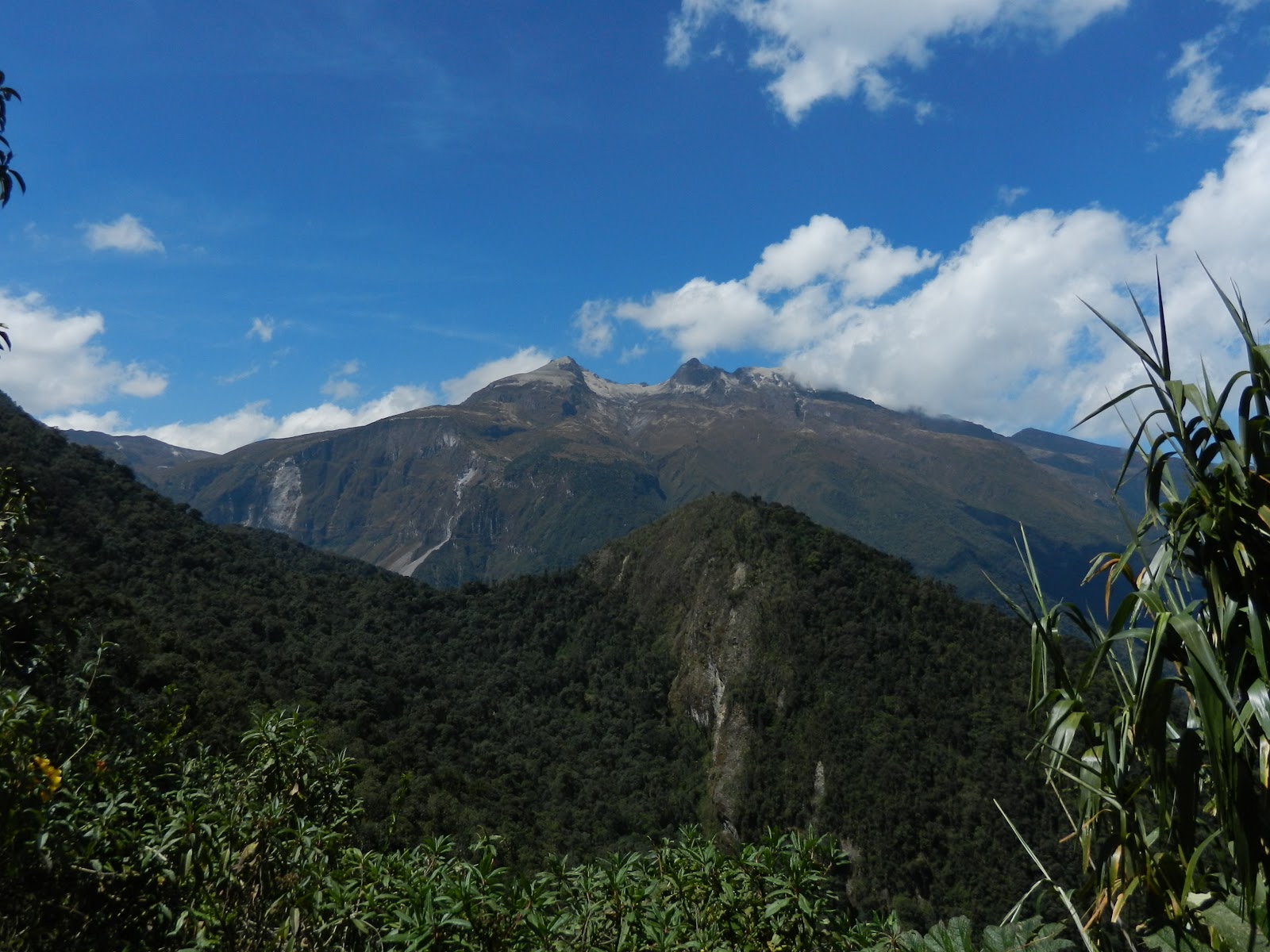 Experience Nature: Some Favourite Photos