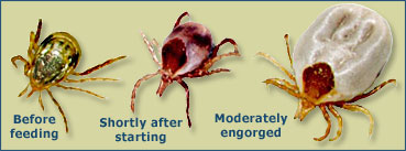 From On top of the Hill : 3/1/12 - 4/1/12