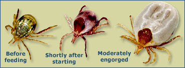 From On top of the Hill : 3/1/12 - 4/1/12