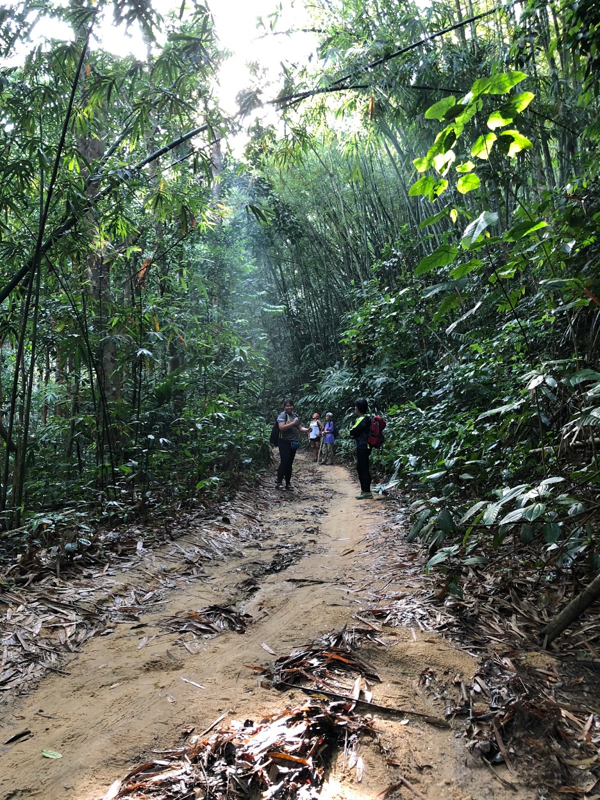Adventurous: Lata Medang Waterfall @ Kuala Kubu Bharu