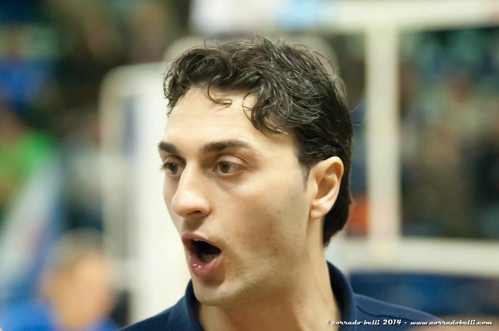 Appunti di Sport: VOLLEY PESARO, MATTEO BERTINI COME TUTTI I GRANDI ...