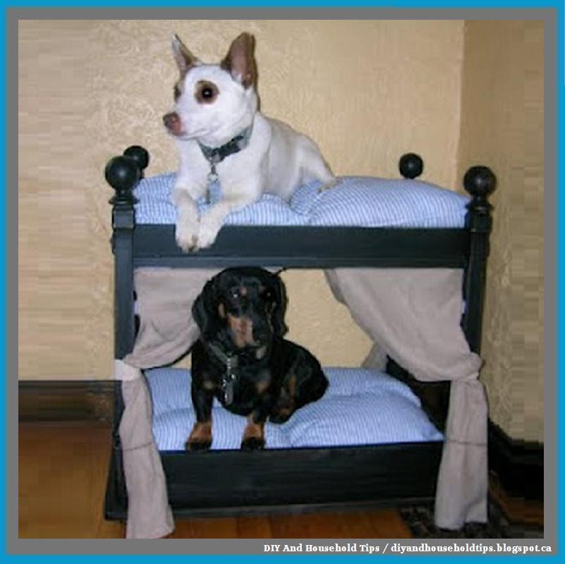 DIY And Household Tips: Bunk Bed For Your Dog Or Cat