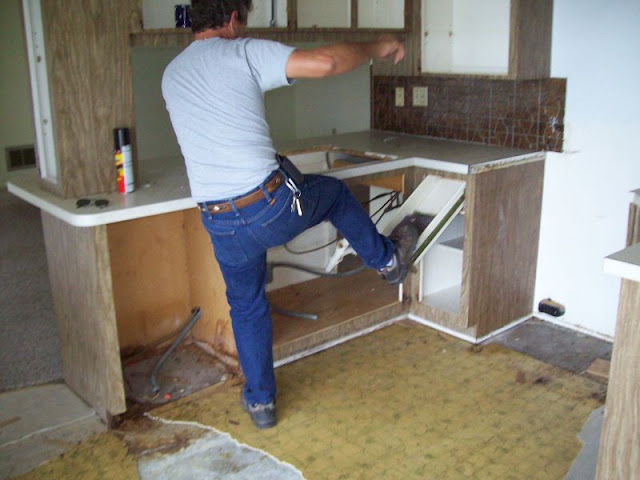 Mike and Lisa's World: Florida Flip 2...Tearing Up The Yard And ...