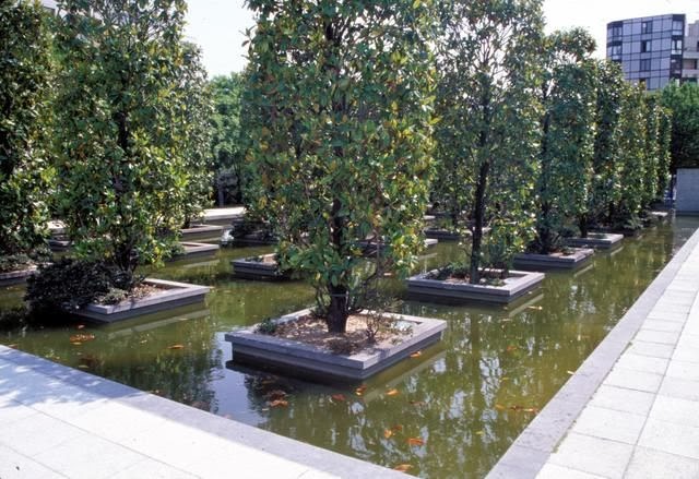 ROUA: GRADINI MODERNE