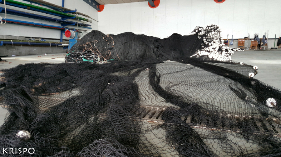 Enredada entre redes de pesca | Ikusi Batusi