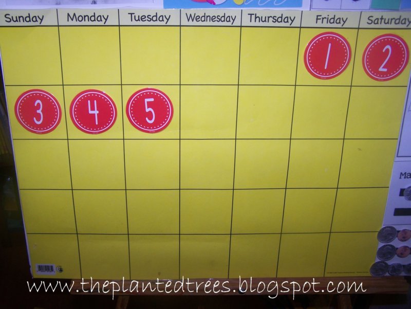 The Planted Trees: Circle Time with Preschool and Second Grade