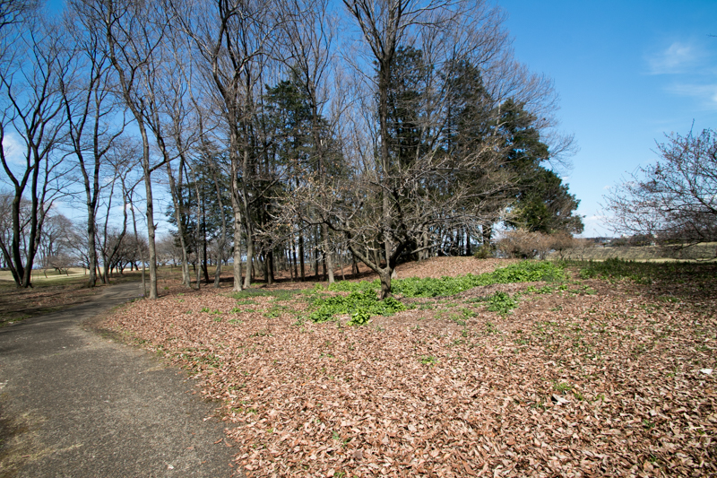 Tobiyama Castle -Modern shape castle of traditional clan- | Ken's ...