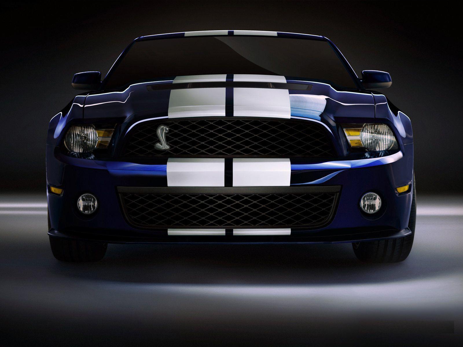 Ford Mustang Shelby GT500 Pictures - All In Car: Ford Mustang Shelby ...
