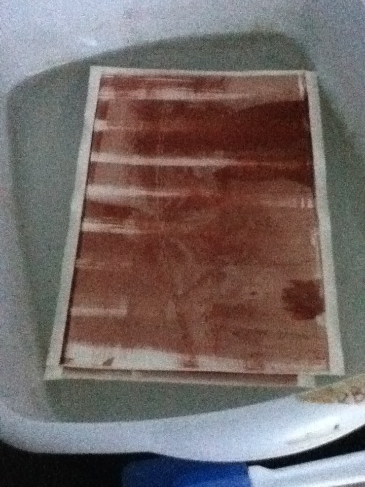 19th Century Photographic Processes: Albumen