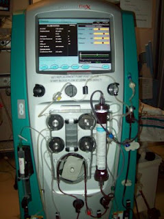 PRIZZLE: Putting in the work.