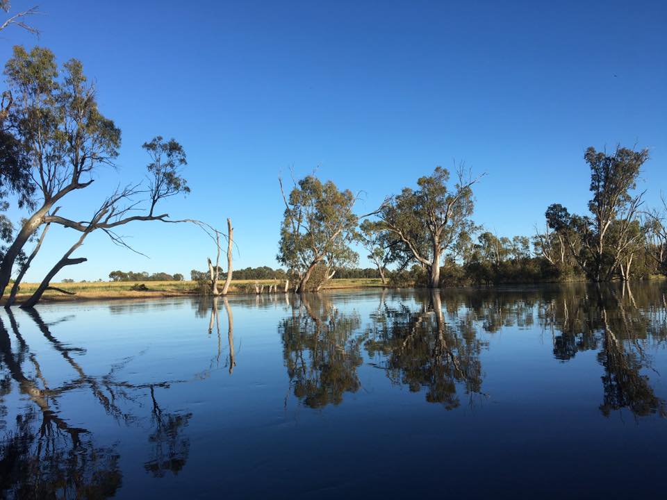 Murray River Kayak.: Murray river Paddle 2016 Day 18 Barham - Benjaroop