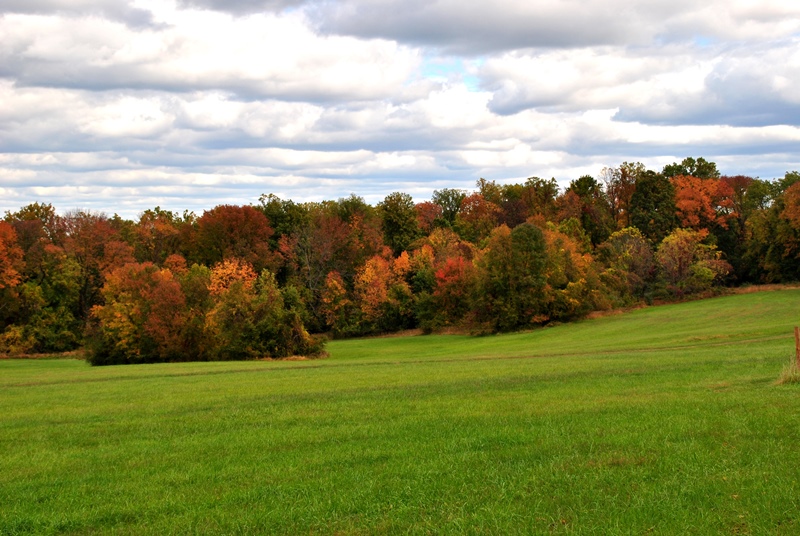 Southeastern PA Hiking: Thompson Trail