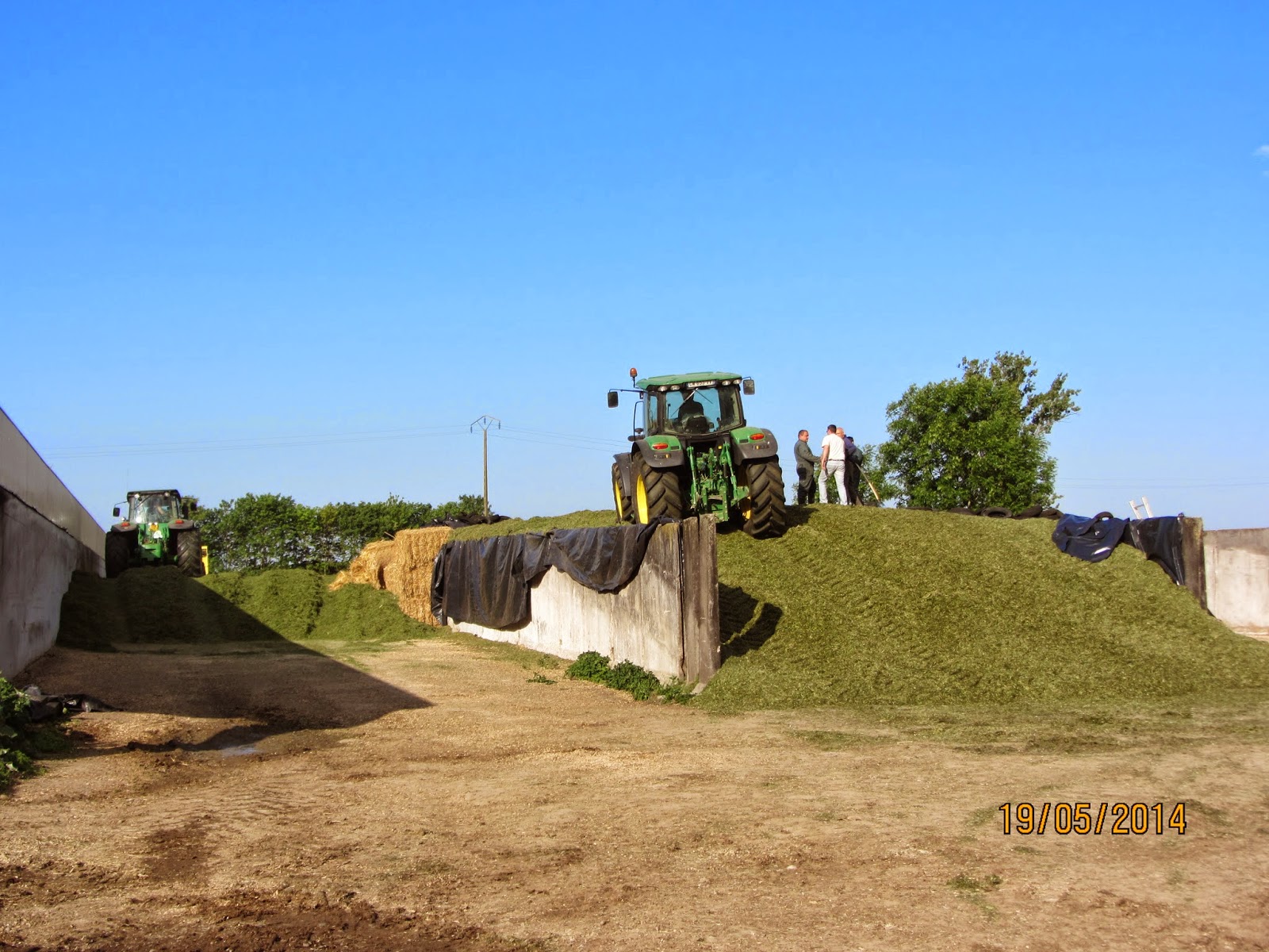 TNLA 2015 - la prim' team : L'ensilage c'est quoi