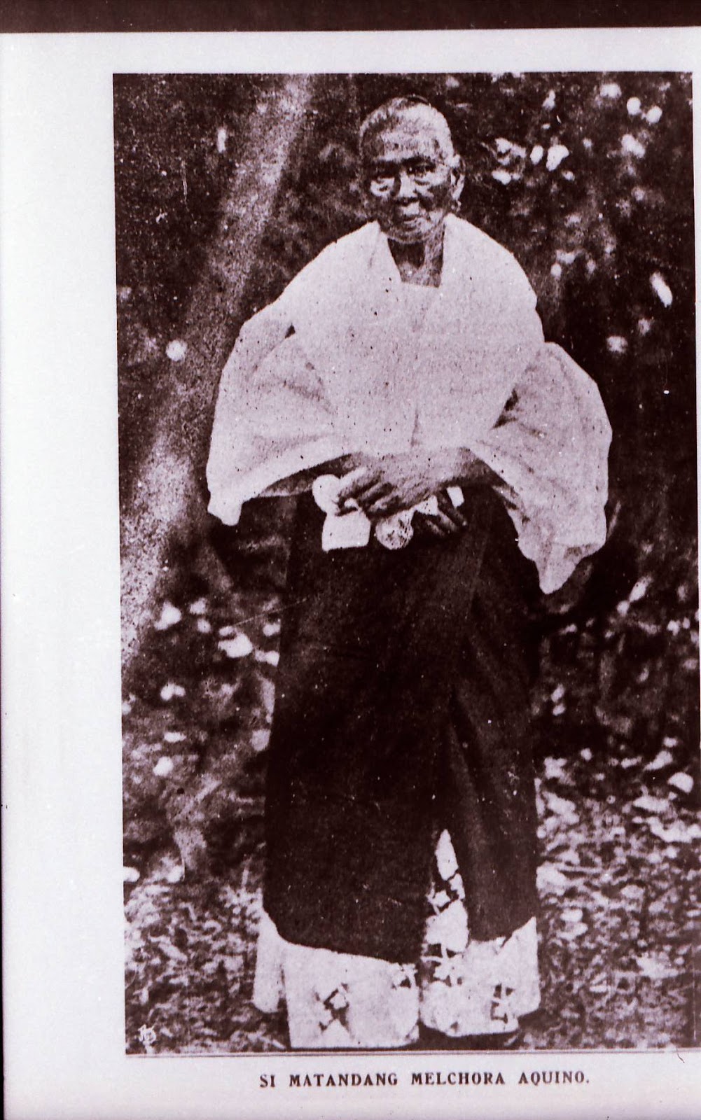 trinidad tecson - philippin news collections