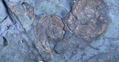 Understanding New Evidence of the Impact of Climate Change in the Early ...