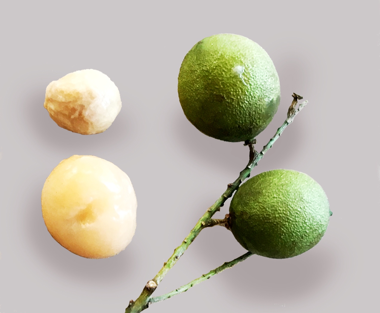 Connecting with Nature: Got genips?