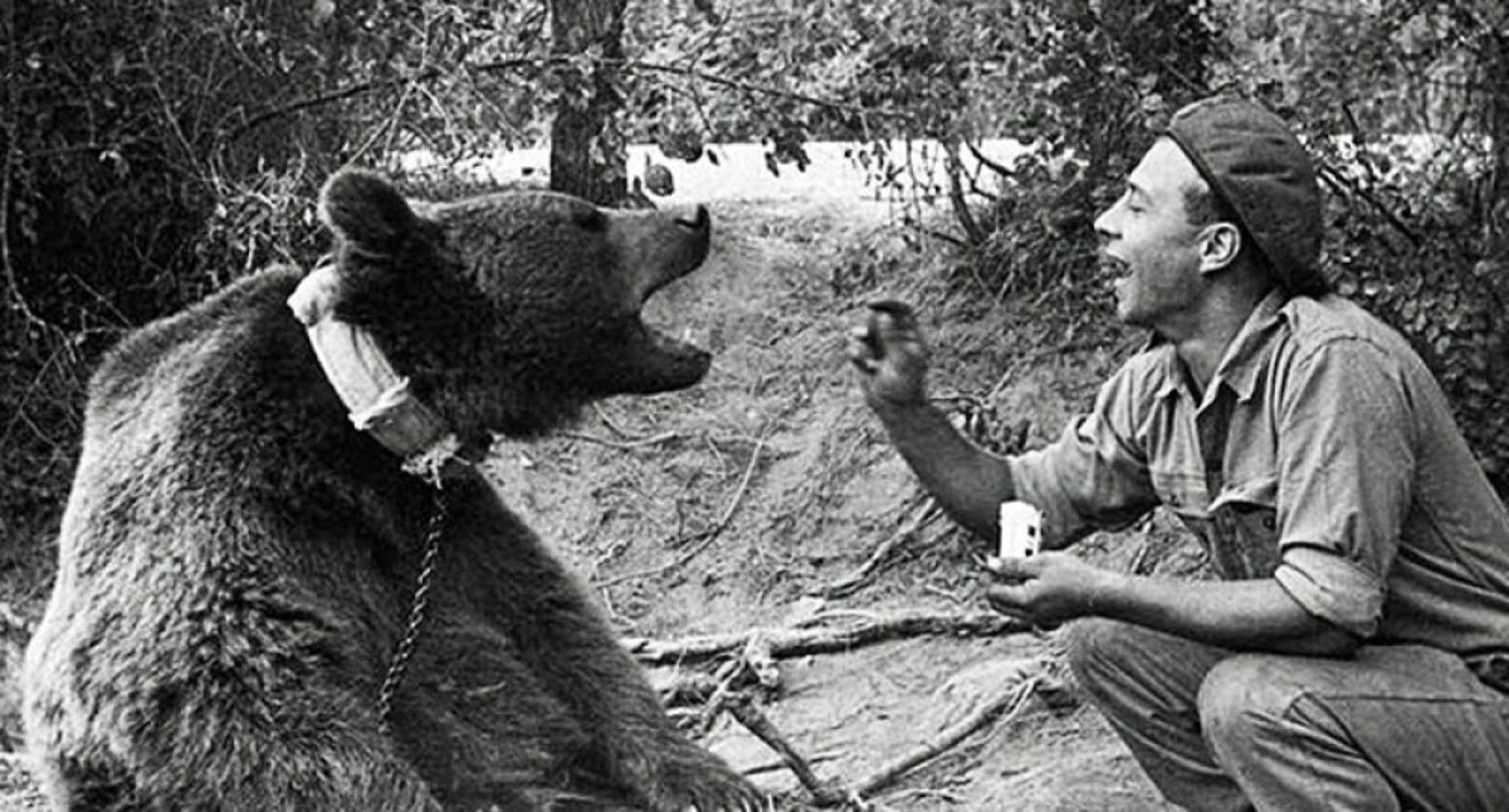 Okruchy Historii: Niedźwiedź Wojtek - Kolega z wojska Okruchy Historii: Niedźwiedź Wojtek - Kolega z wojska