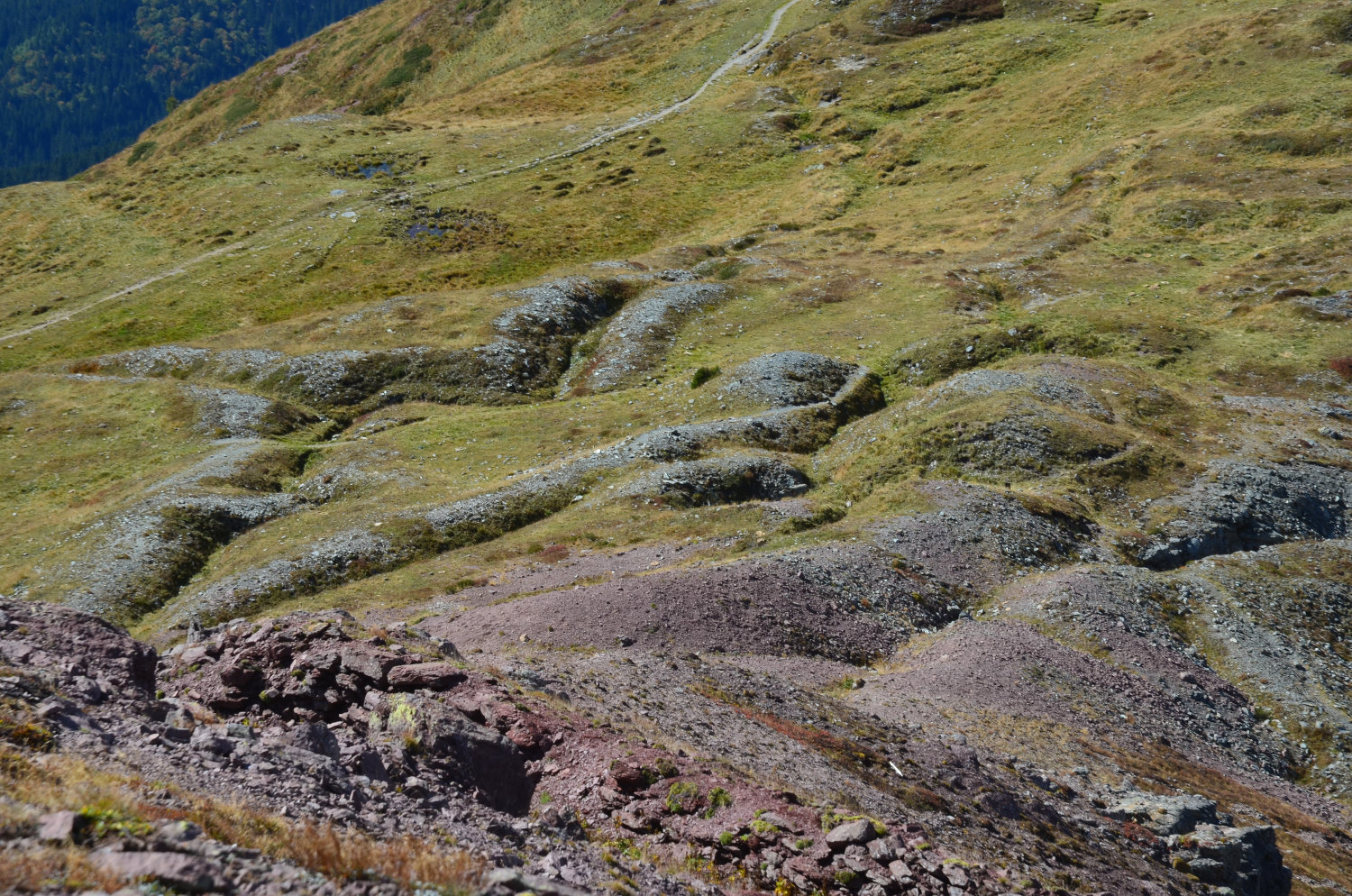 ATOR: WW1: High Alpine Survey Data - Work in Progress