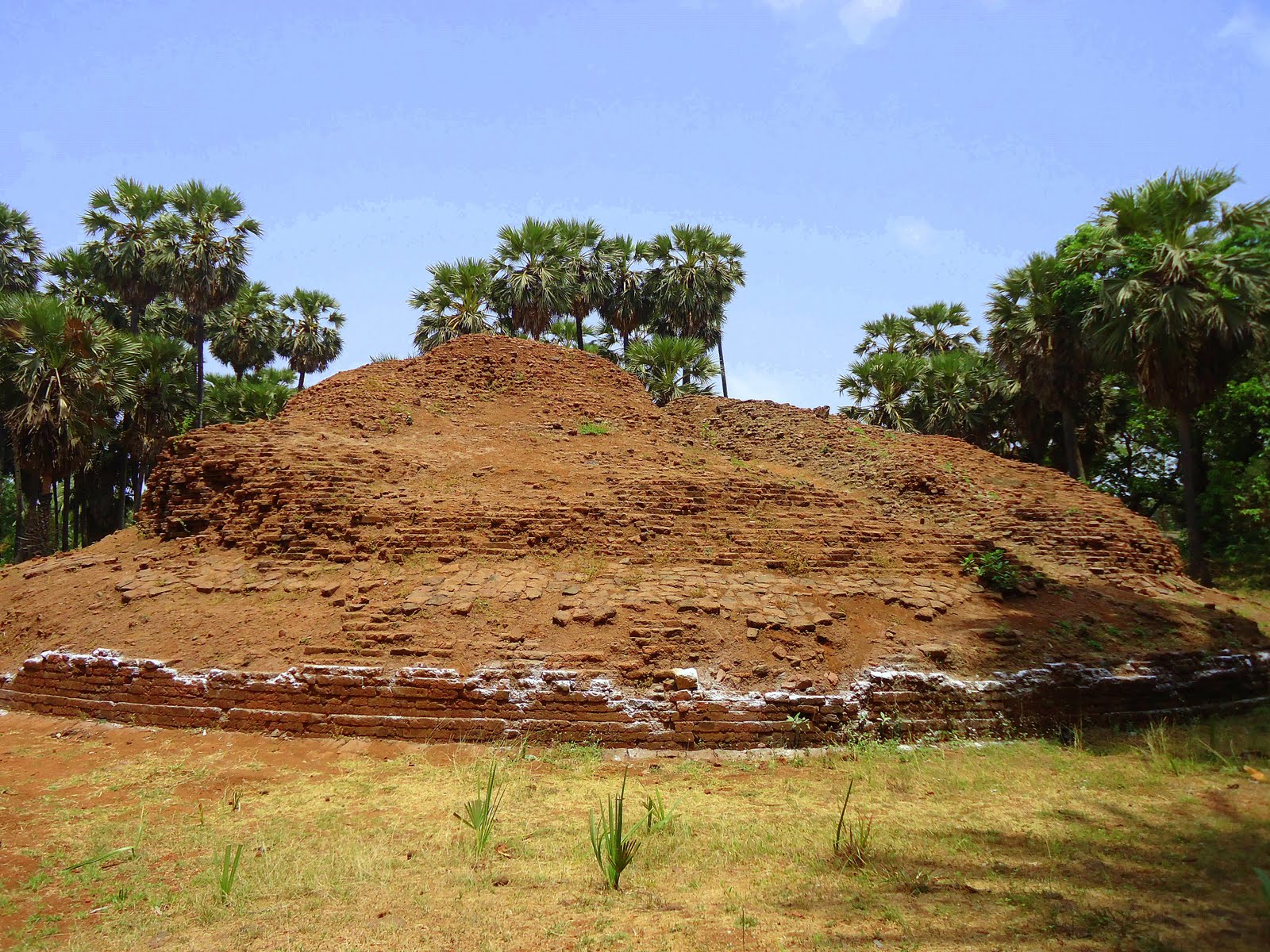 Vision: A Small Suburb in Mumbai- NALASOPARA